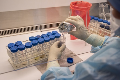 International Pathogen Surveillance Network launches catalytic grant ...